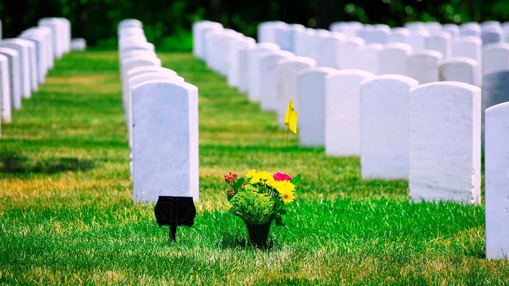 Landfill of the Dead - Global Waste Cleaning Network