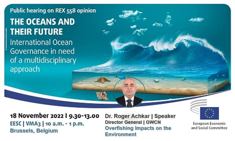 The European Economic and Social Committee’s hearing “THE OCEANS AND ...